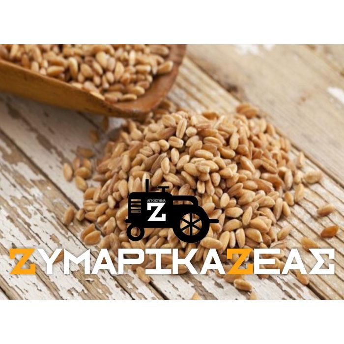 Σιτάρι Ζέας bio 500gr (ΒΙΟΥΓΕΙΑ) τιμή 2.85€ - Βιολογικά Προϊόντα ...